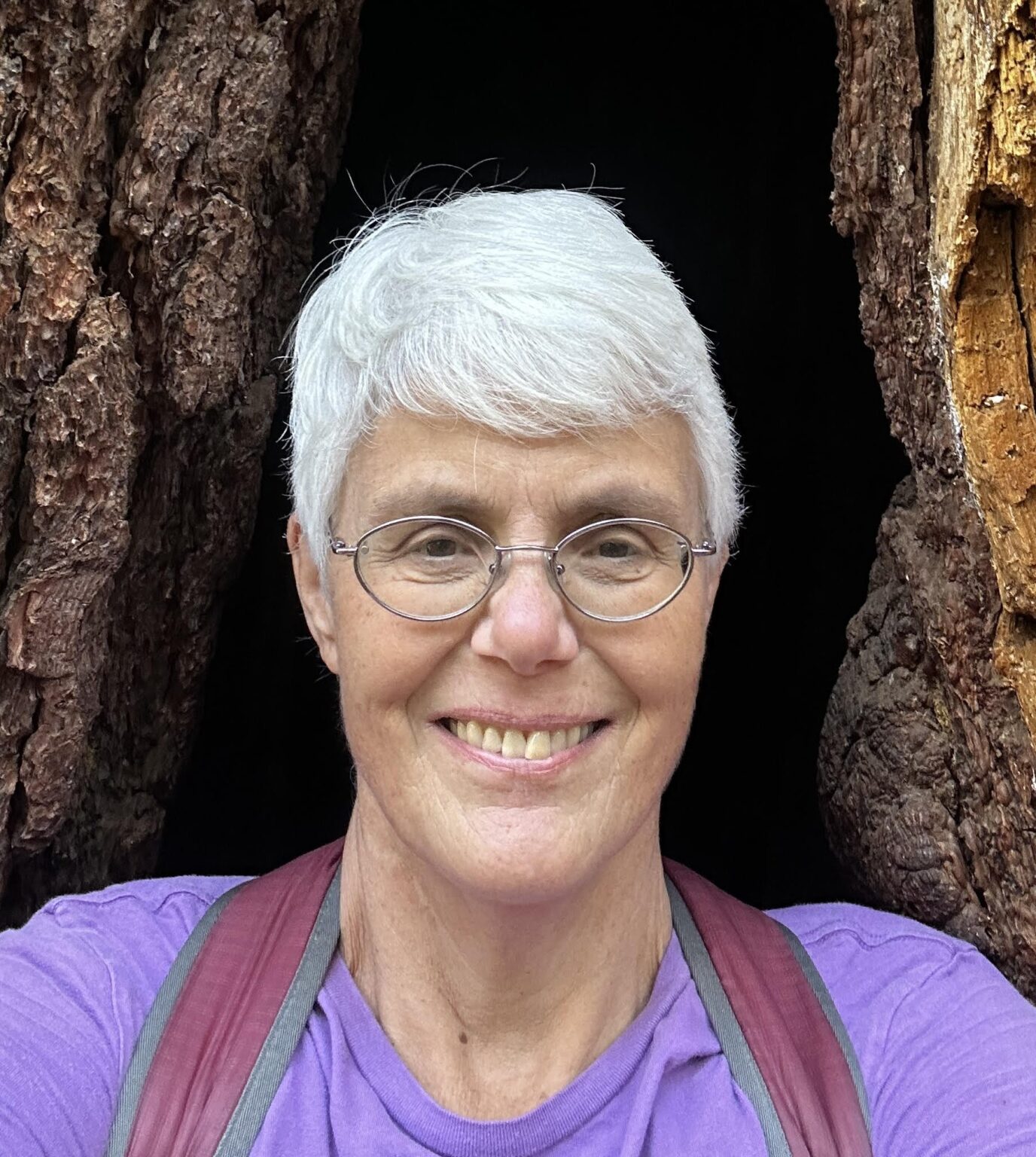 Cortland Free Library – Books are just the beginning!